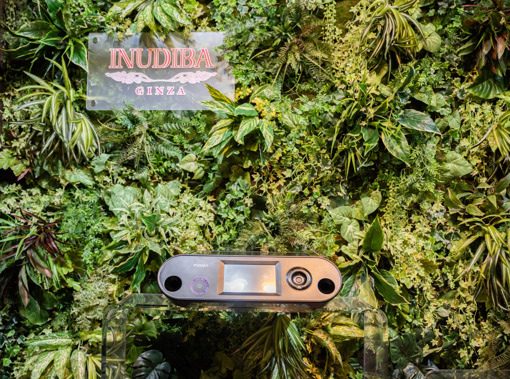 最上位機種「インディバ EDNA PRO MAX」キャンペーン - インディバ専門店「銀座INUDIBA」